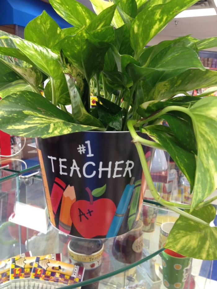 Others : Teaching & Learning Stuff