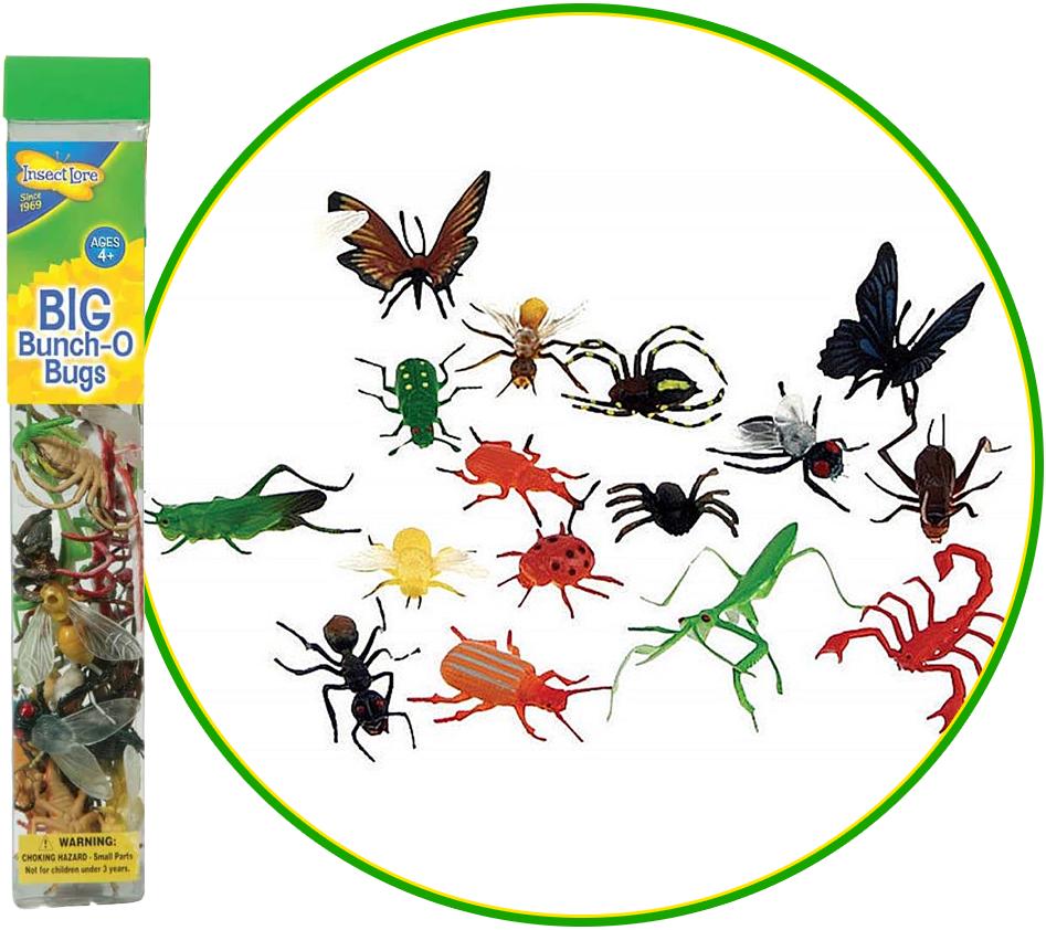 Think Spring! : Teaching & Learning Stuff